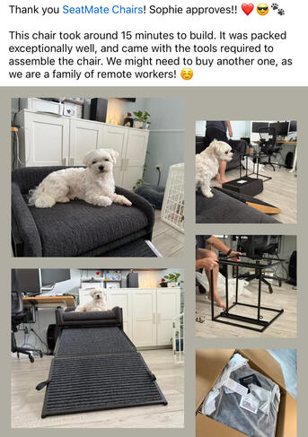 The Ultimate Gift For Dog Moms